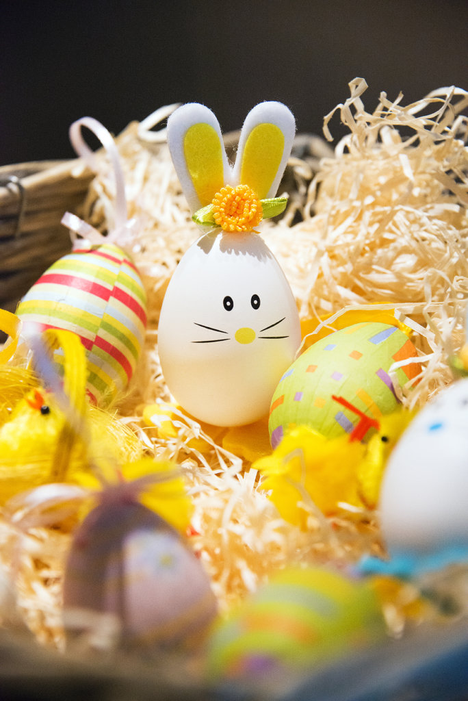 Things To Do With Kids In Cork This Easter | Trigon Hotels